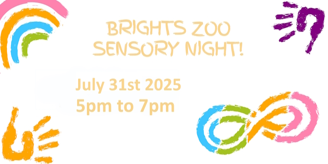 Sensory Friendly Night 2025 - Home